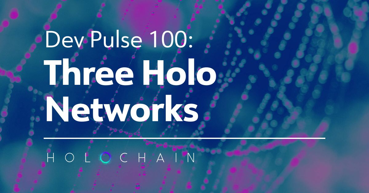 Three Holo Networks - Holochain Blog