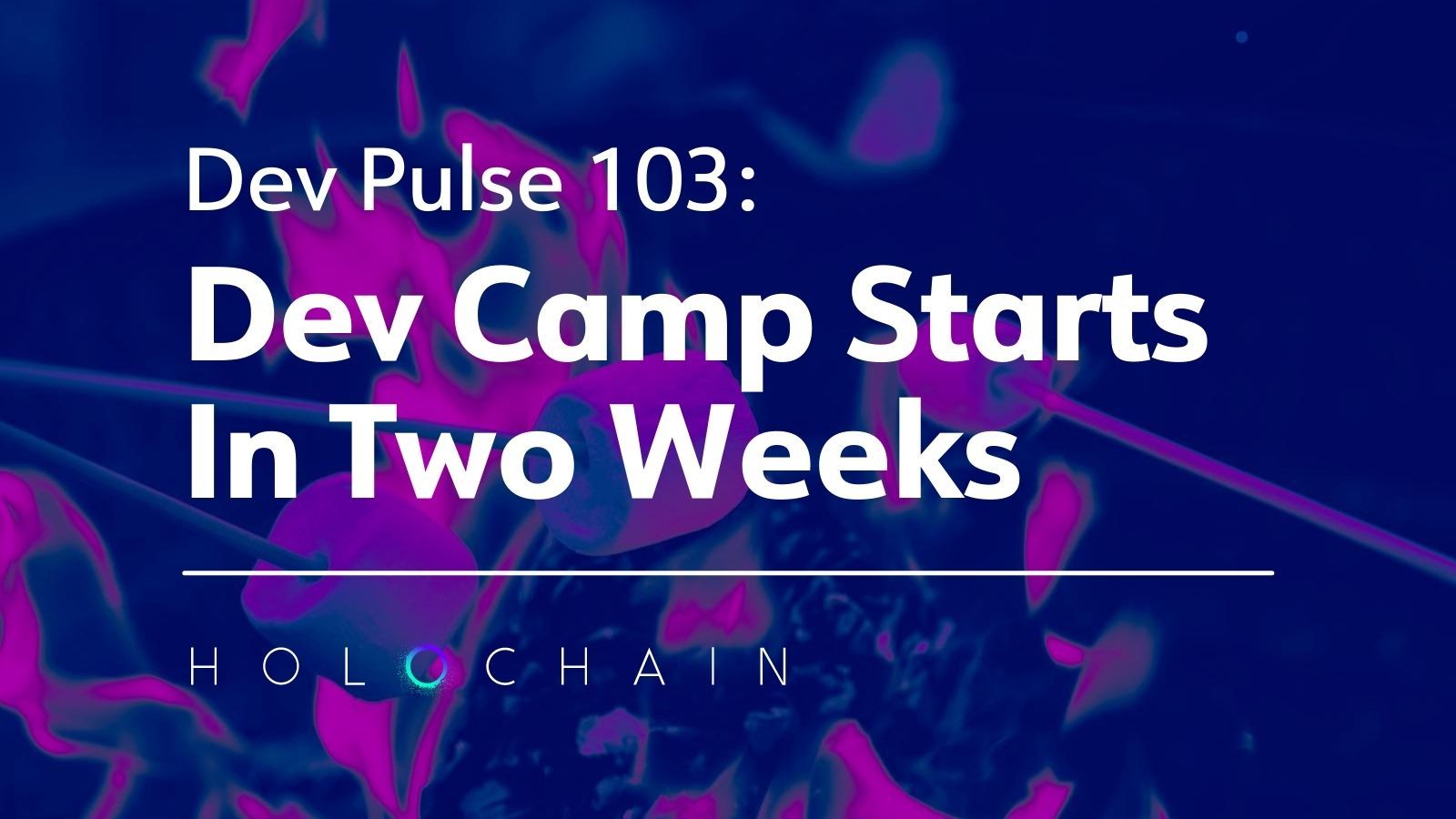 Dev Camp 8 Starts In Two Weeks - Holochain Blog