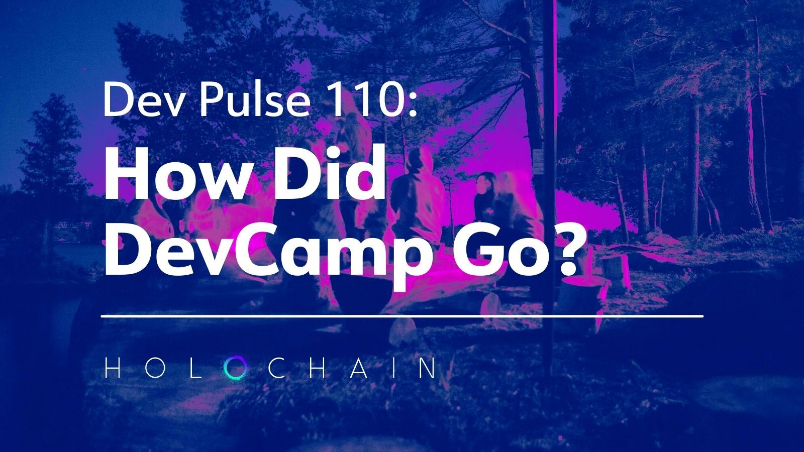 How Did DevCamp 8 Go? - Holochain Blog