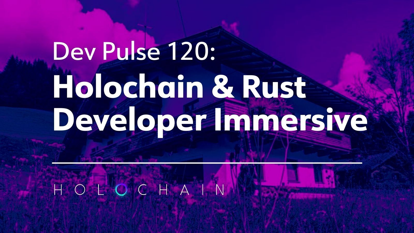 Holochain & Rust Developer Immersive - Holochain Blog