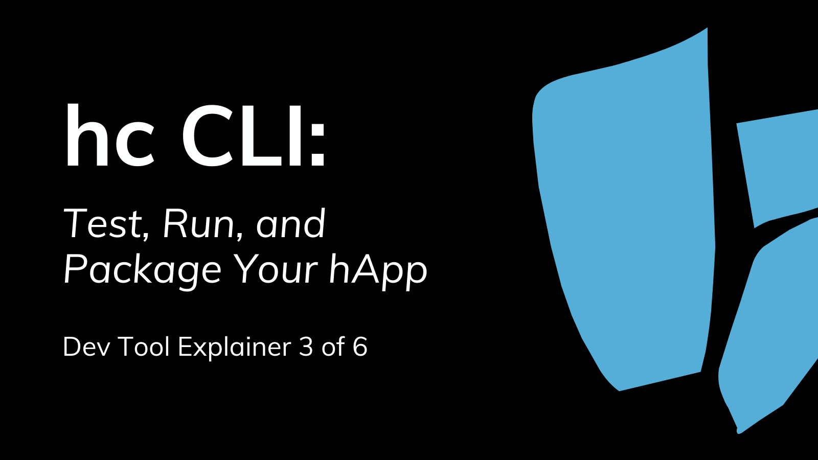 hc CLI: Test, Run, and Package Your hApp - Holochain Blog