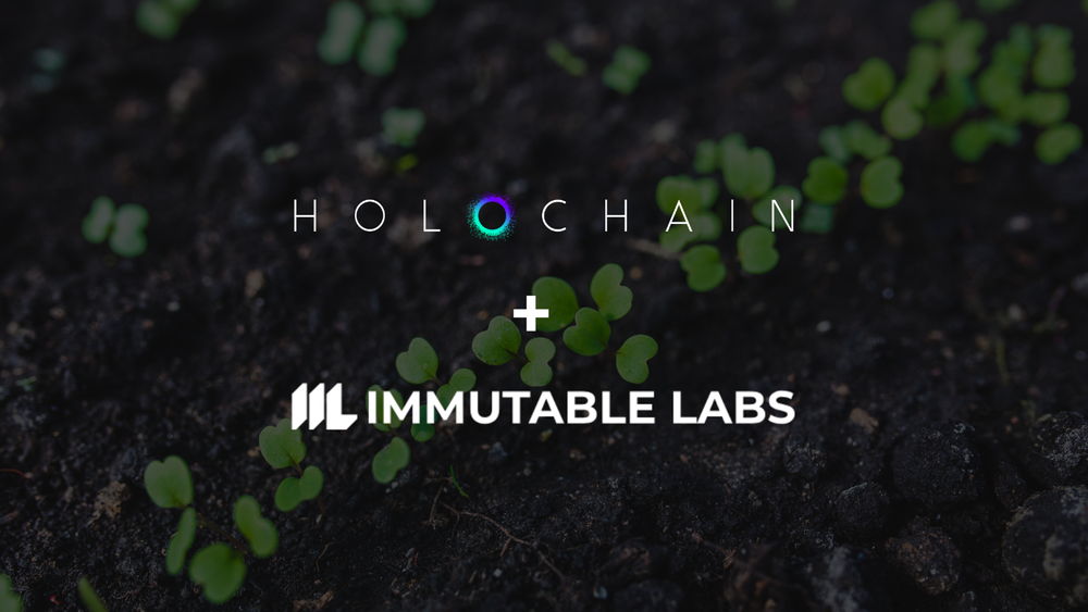 Holochain Blog - Stories and Progress from Holochain