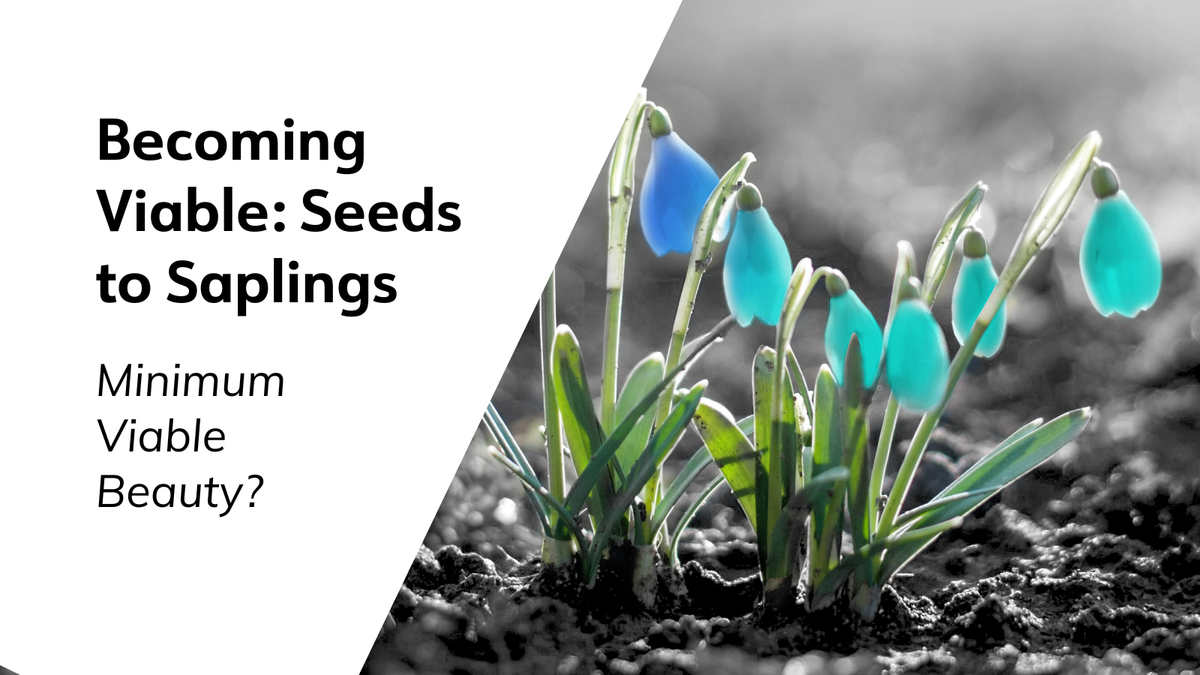 Becoming Viable: Seeds to Saplings - Holochain Blog